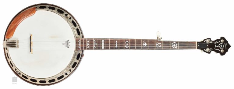 10 Most Expensive Banjos Currently For Sale - Bailey and Banjo