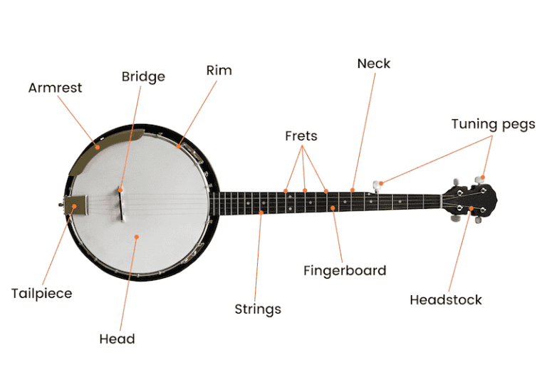 Anatomy of a Banjo - Bailey and Banjo